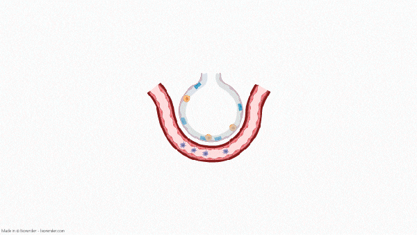 Non-animal alveolar in vitro model for toxicity analysis | Invitrolize